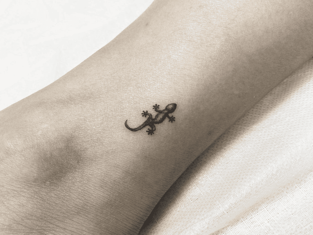 Lizard Tattoo Ideas and Designs: Symbolism, Styles, and Placement