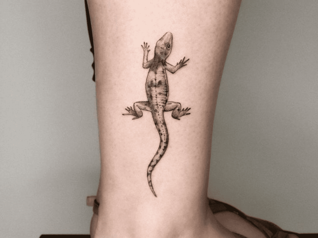 Lizard Tattoo Ideas and Designs: Symbolism, Styles, and Placement